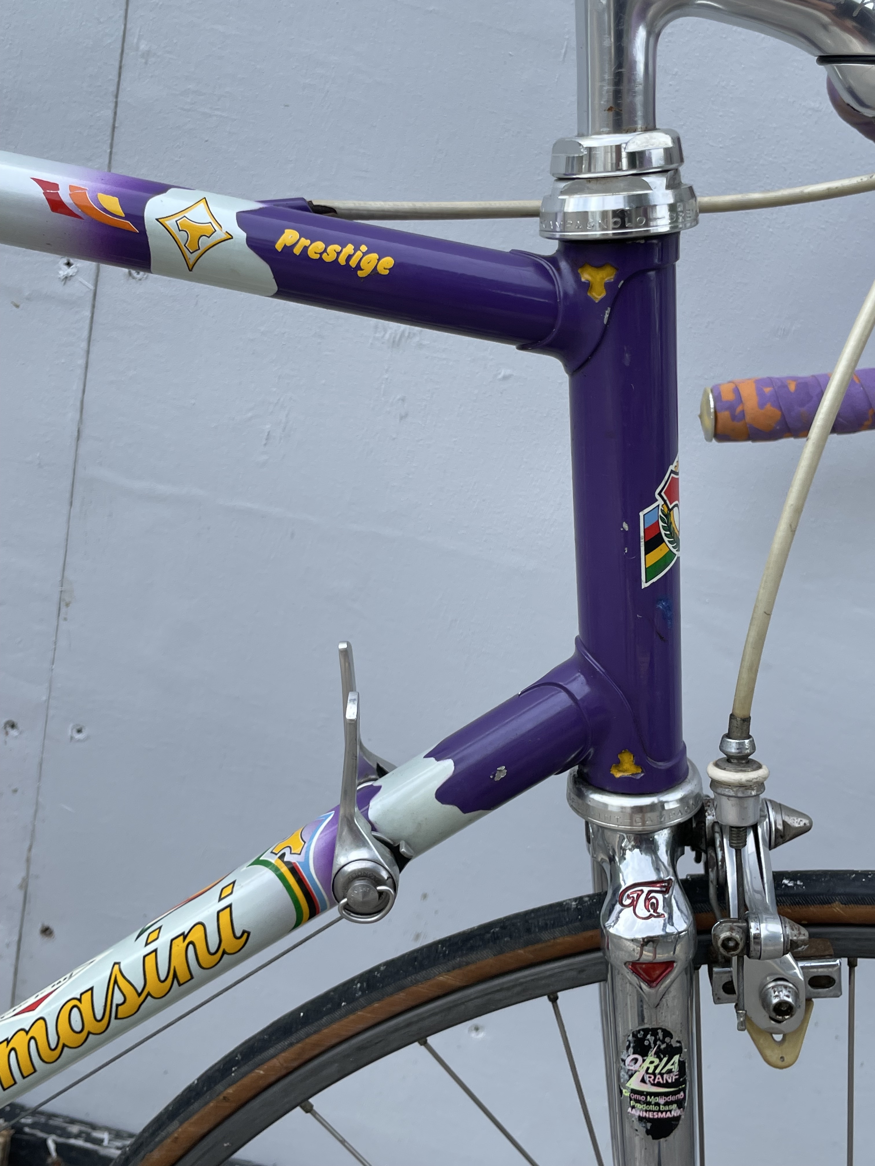 Tommasini Prestige | Saarf London